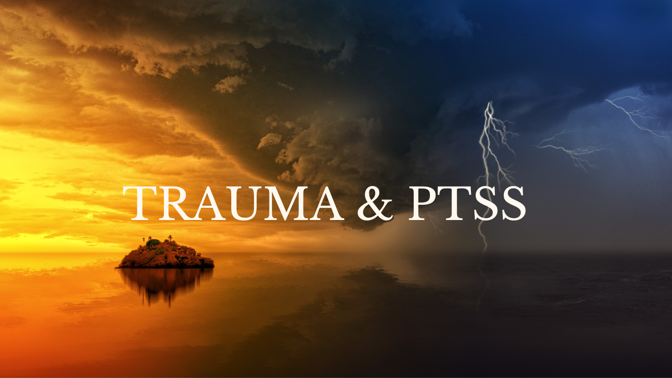 Trauma verwerking & PTSS - Aequilibria